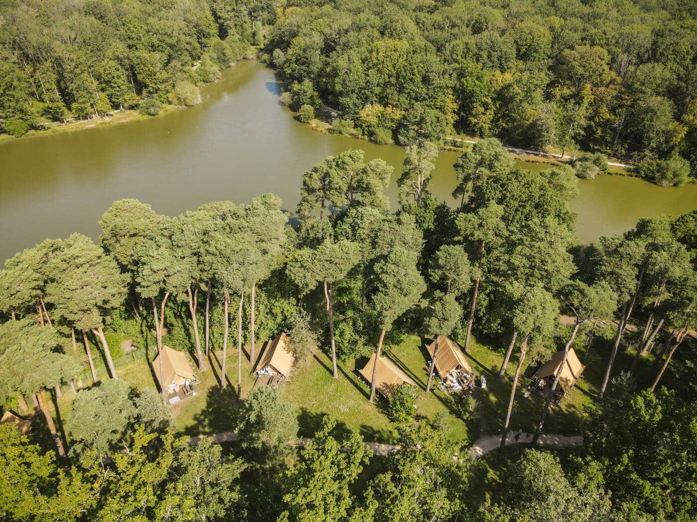 5 randos incontournables en forêt de Rambouillet | Office de Tourisme ...