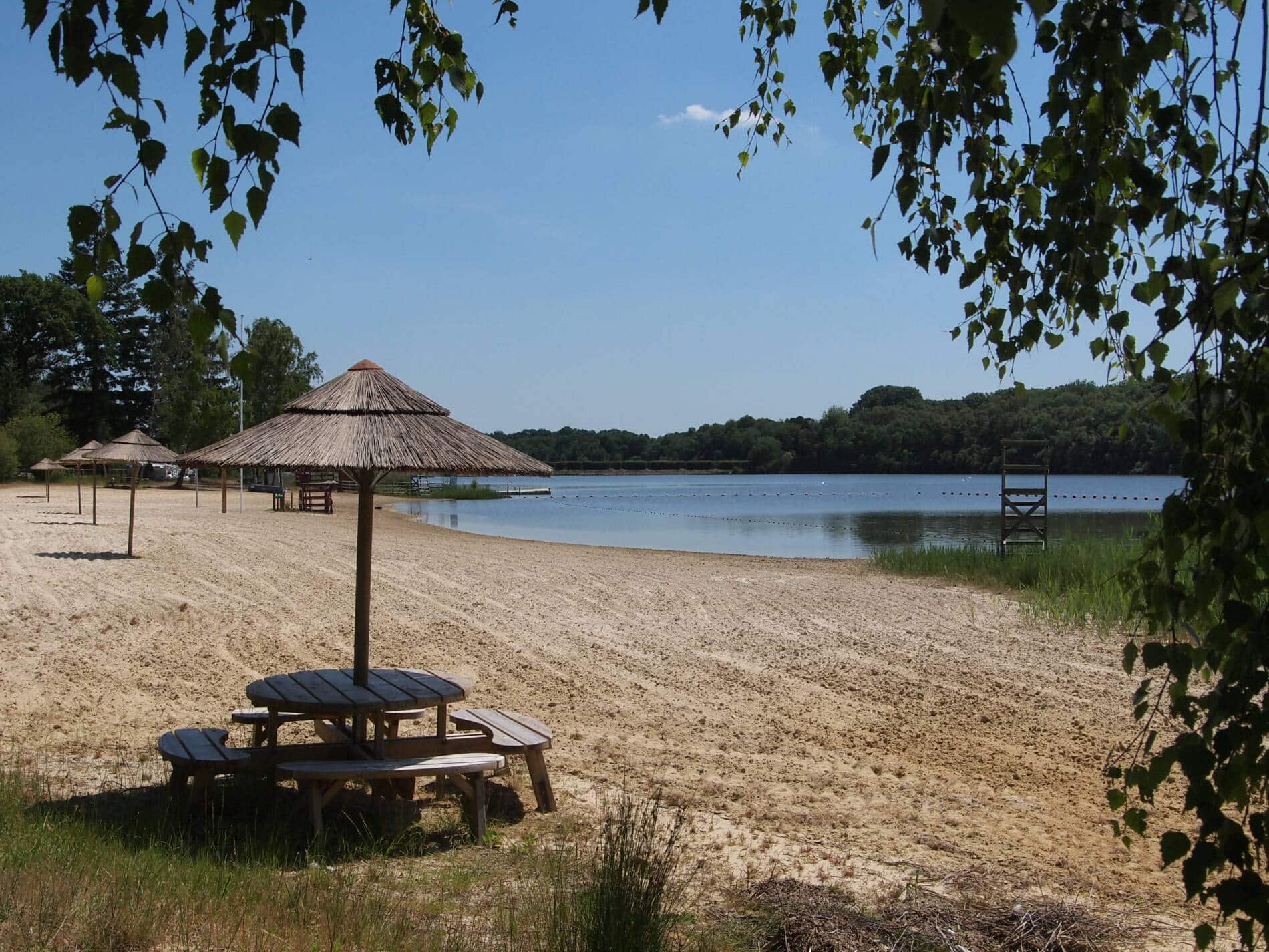 La forêt de Rambouillet | Office de Tourisme de Rambouillet
