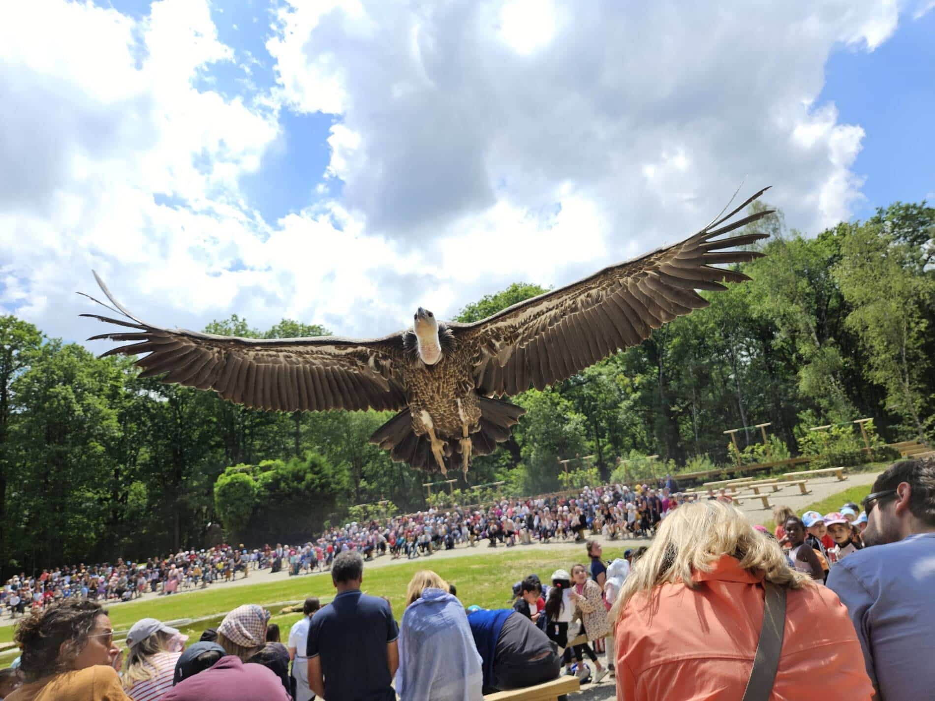 Espace Rambouillet | Office de Tourisme de Rambouillet