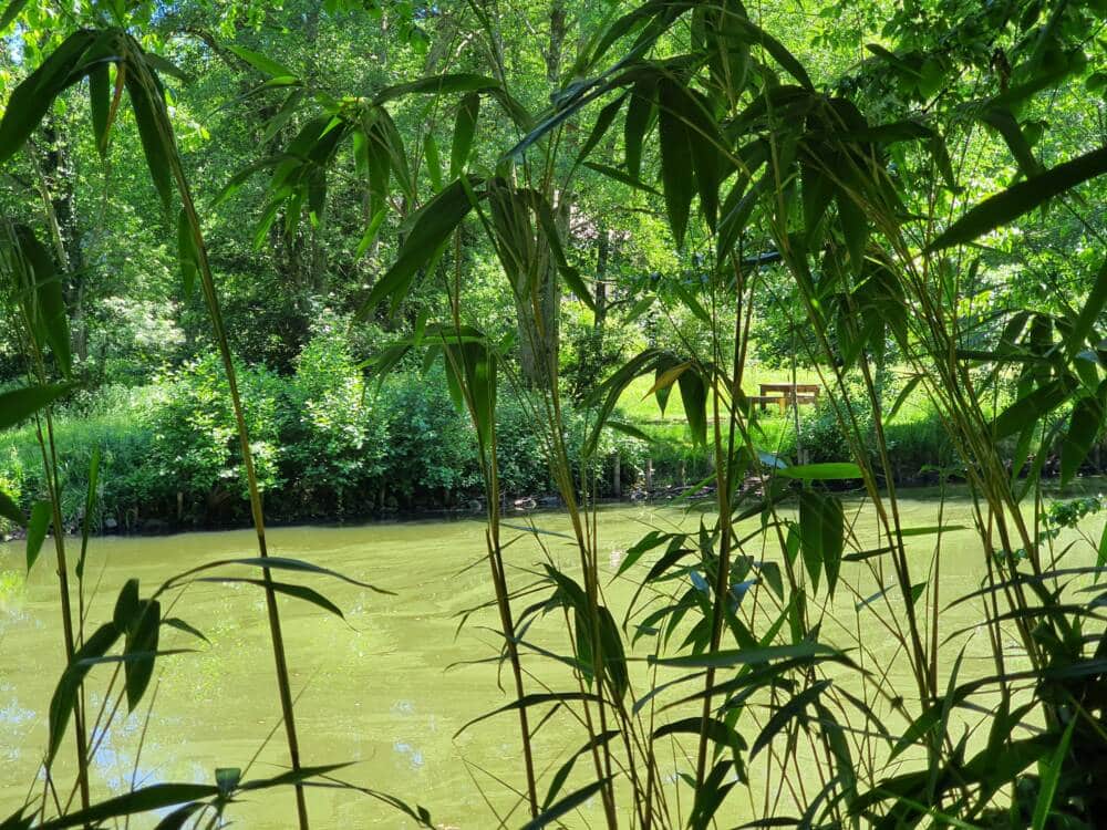 The Petit Moulin des Vaux de Cernay waterfall | Rambouillet Tourist Office